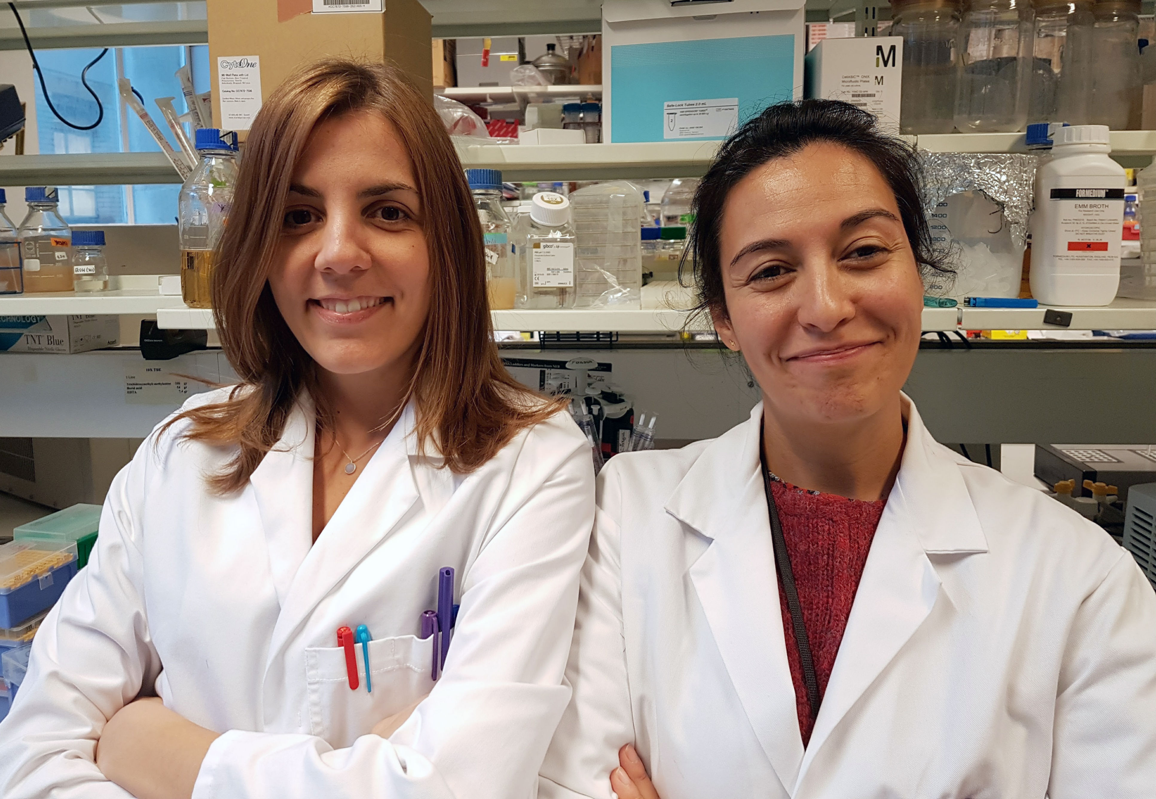 Wellcome Open Research Blog