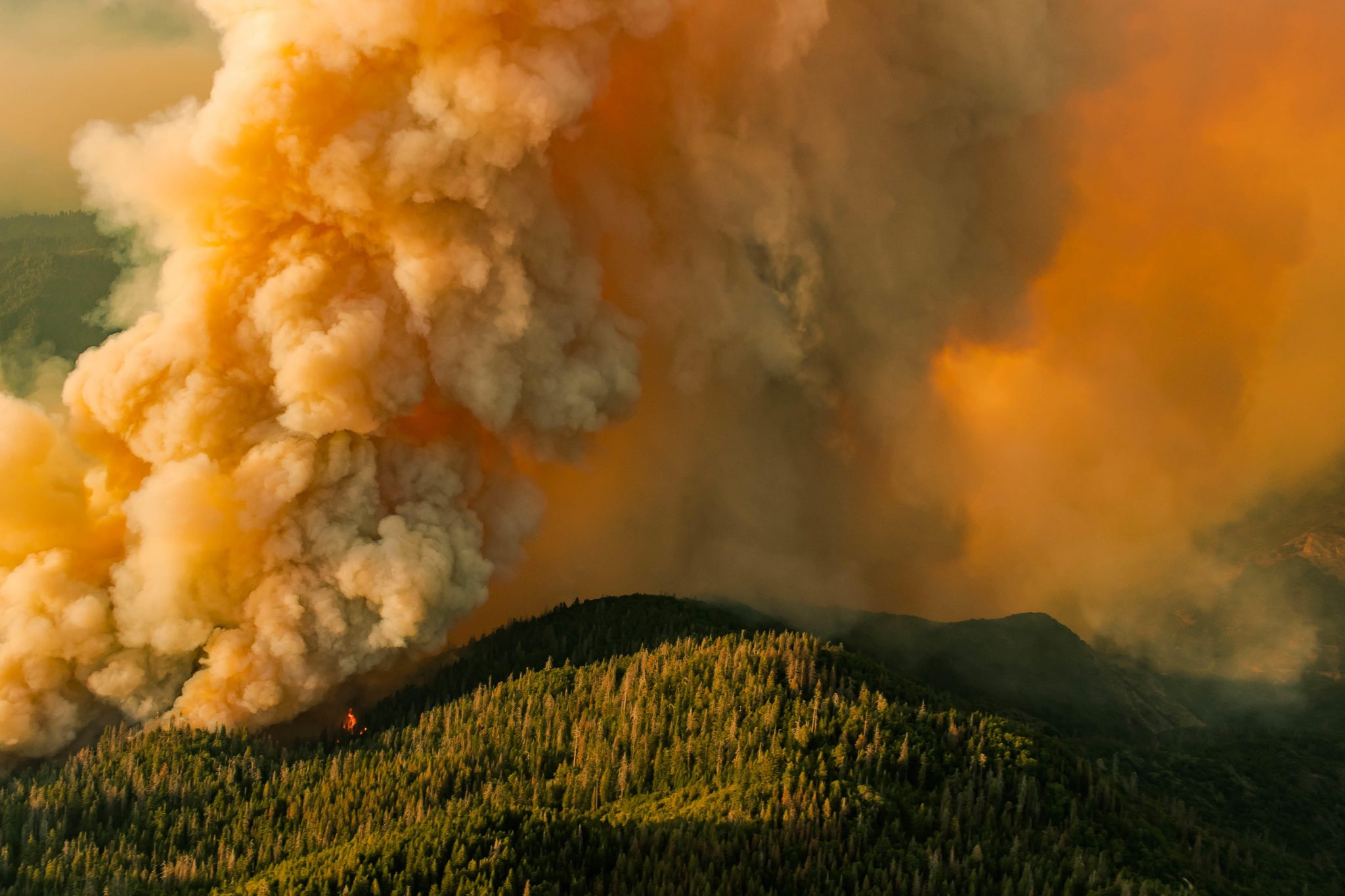 Climate change and global health | Wellcome Open Research Blog